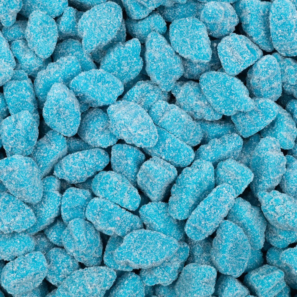 Mini Jelly Blue Raspberry 100g | LollyShop | NZ – LollyShop NZ