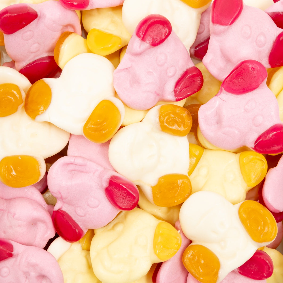 Zoo Mix 100g | LollyShop | NZ – LollyShop NZ