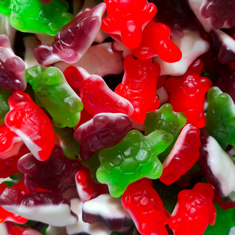 Turtles 100g – LollyShop NZ