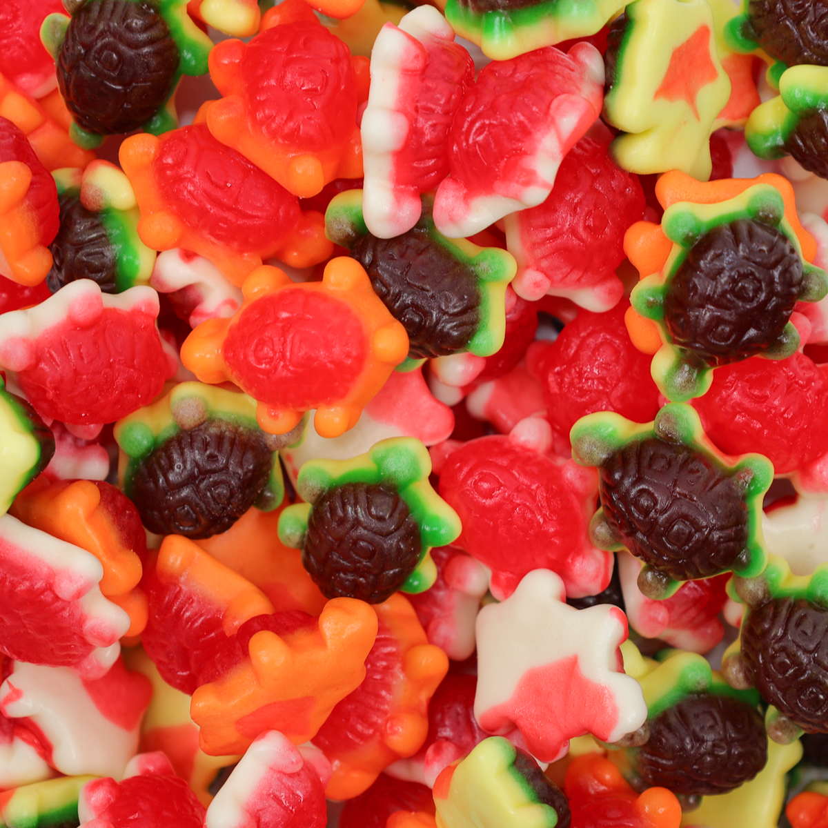 Jelly Filled Turtles 100g – LollyShop NZ
