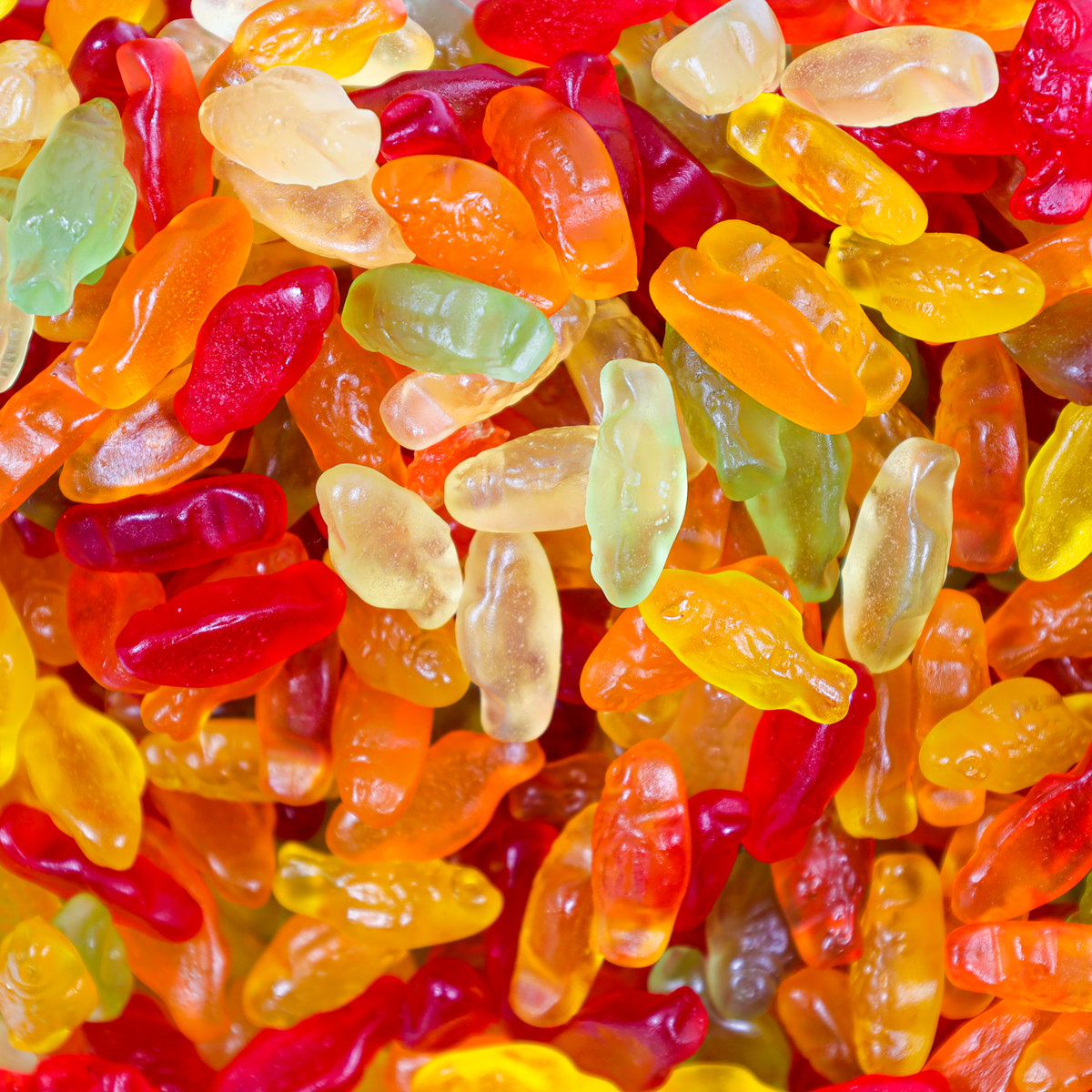 Mini Gummy Fish 100g | LollyShop | NZ – LollyShop NZ